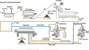 Avocado Oil Processing - Harvest Berry Ltd
